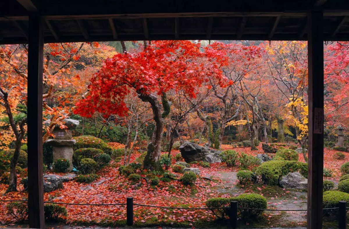 Kyoto, Japon, Azia