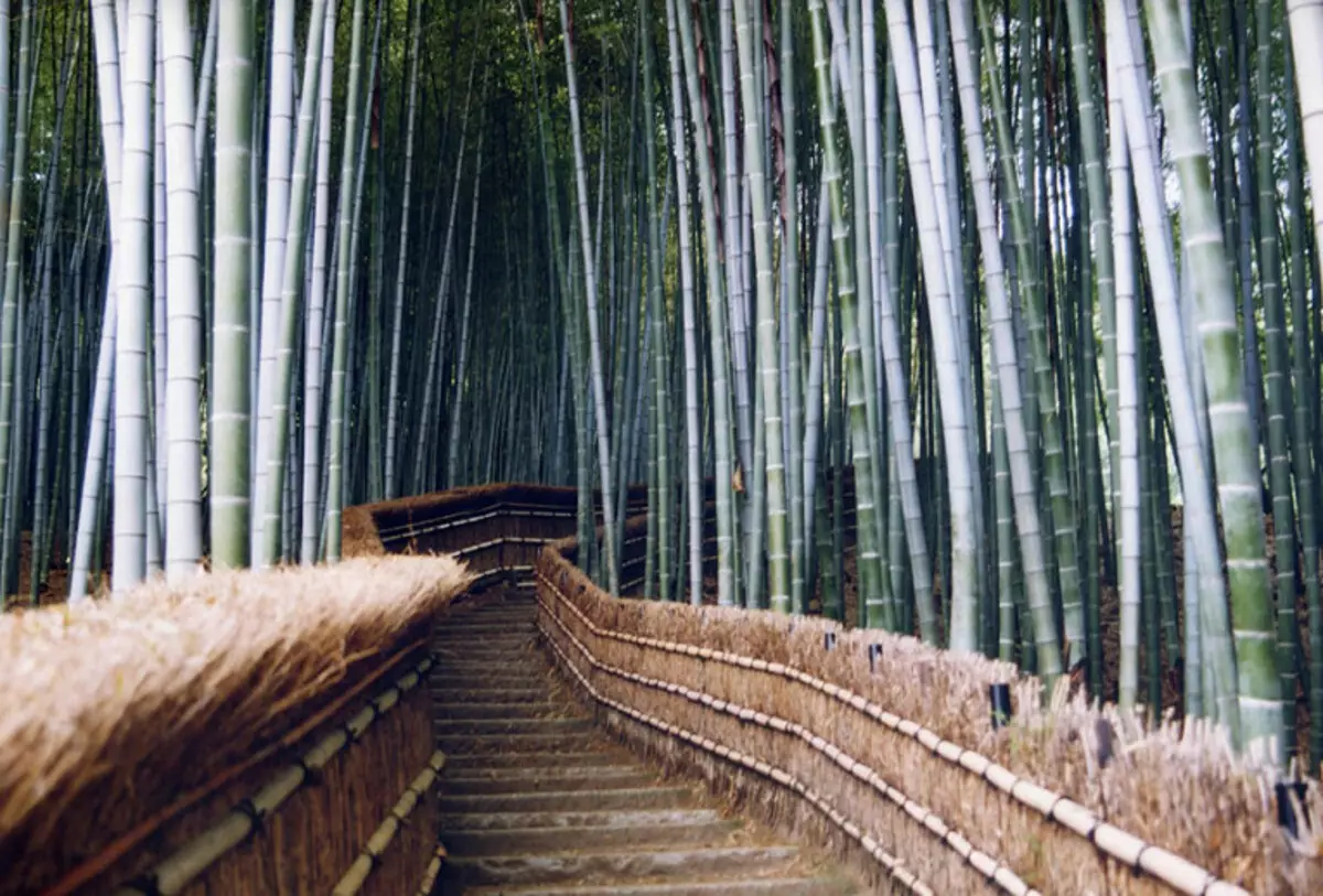 Kyoto, Japonia, Asia