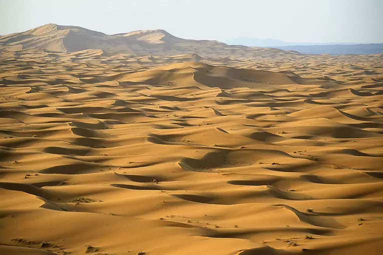 Jangwa la Sukari, Morocco, Afrika.