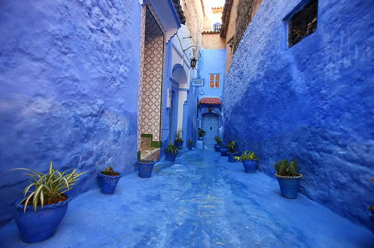 Mchungaji, Morocco, Afrika.
