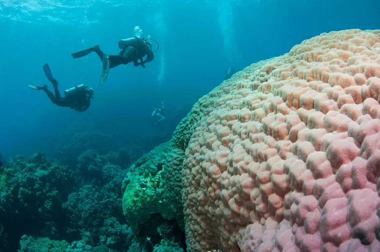 AQABA, Jordan, Sasaʻe tutotonu