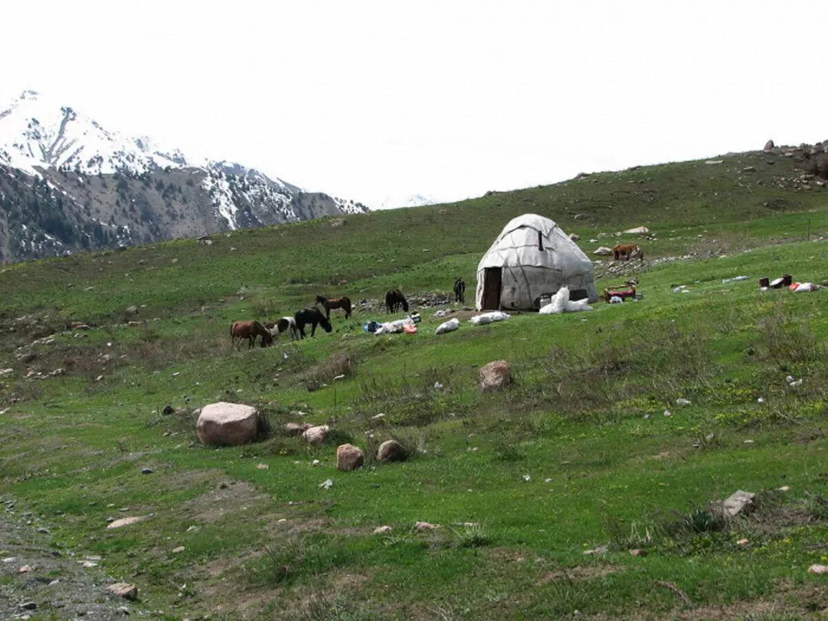 Kyrgyzstan, Aazje