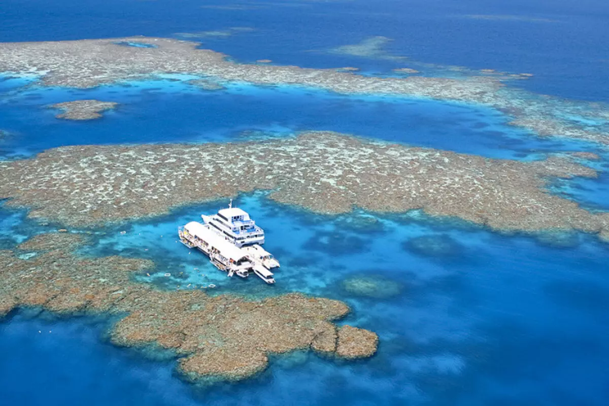 Big Barrier Reef, Australia, သြစတြေးလျနှင့် Oceania