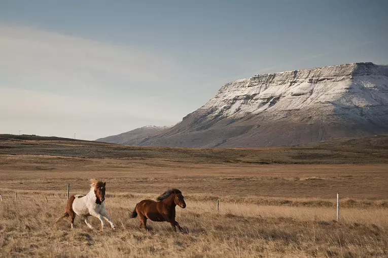 Iceland, Éropa