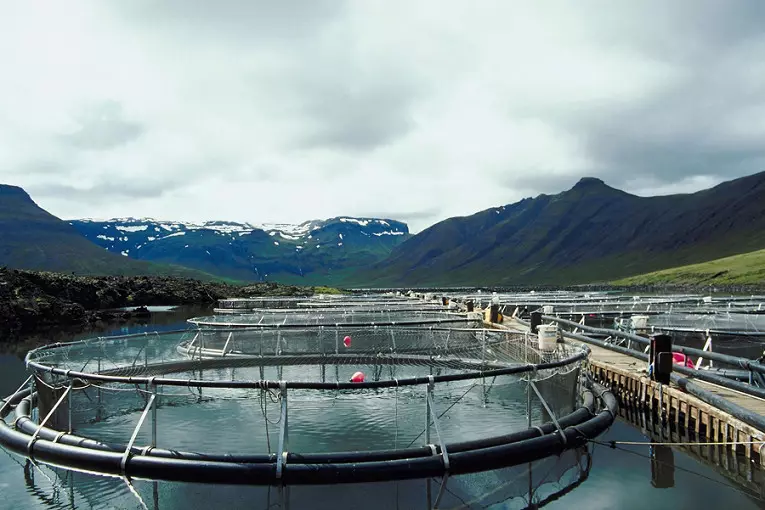 Iceland, Éropa