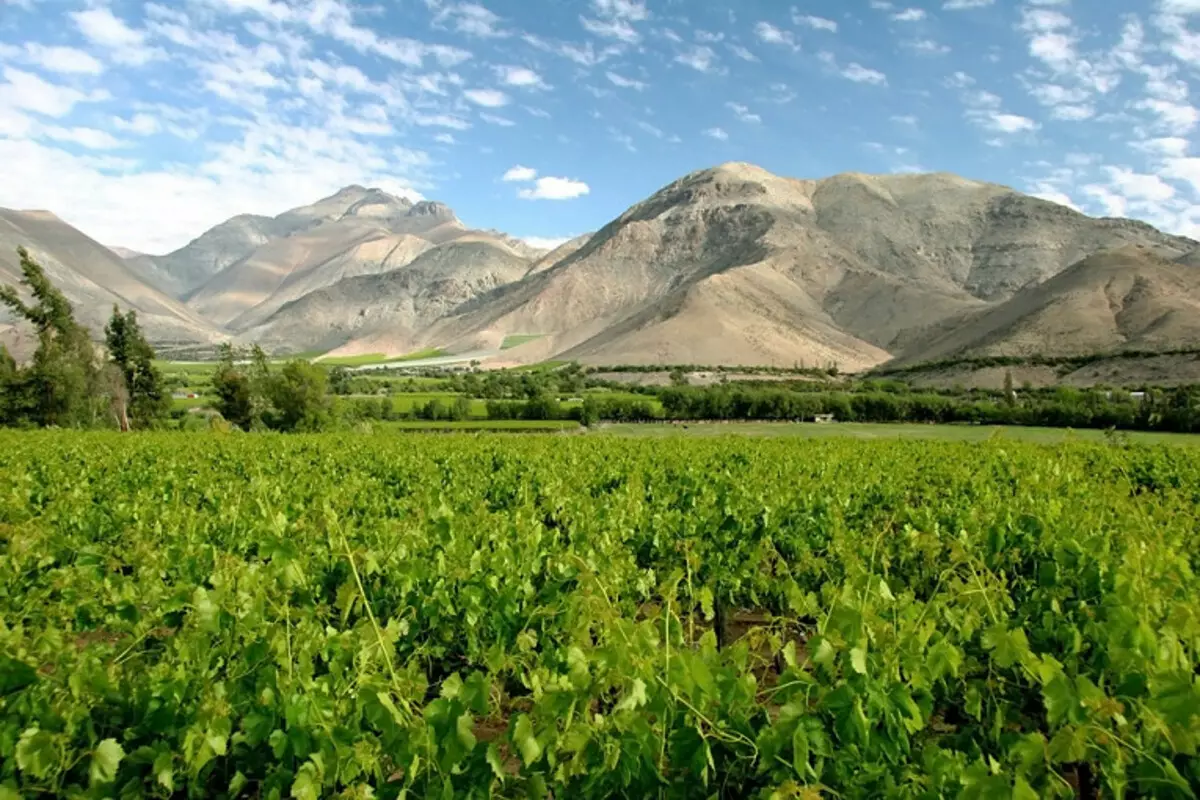 Elki Valley, Chile, South America