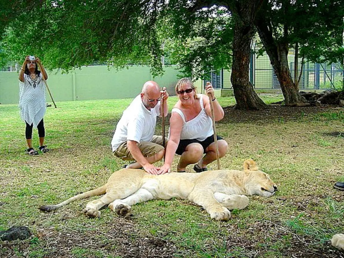 Casela Park, Mavritaniya, Afrika