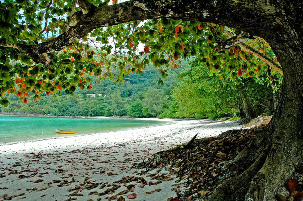 Mahe, Seychelles, Châu Phi