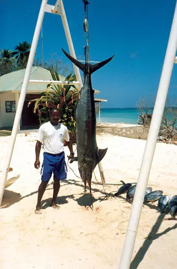 Seyşel adaları, Afrika