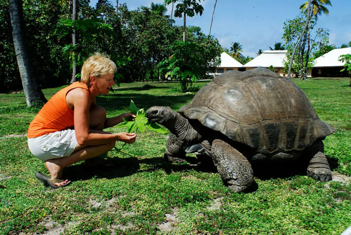 Seychelles, Châu Phi