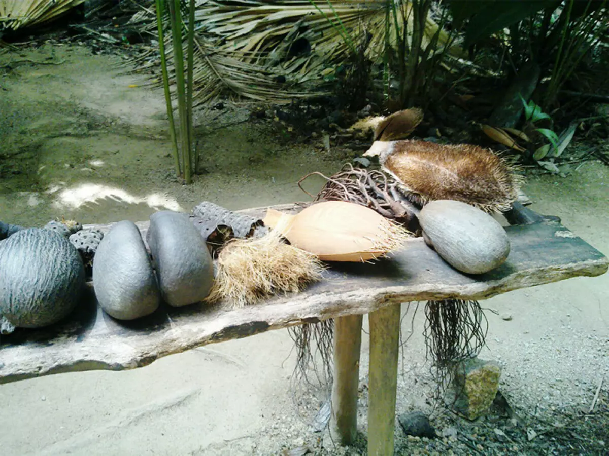 Val-de-Me Milli Parkı, Praslin Island, Seyşel adaları, Afrika