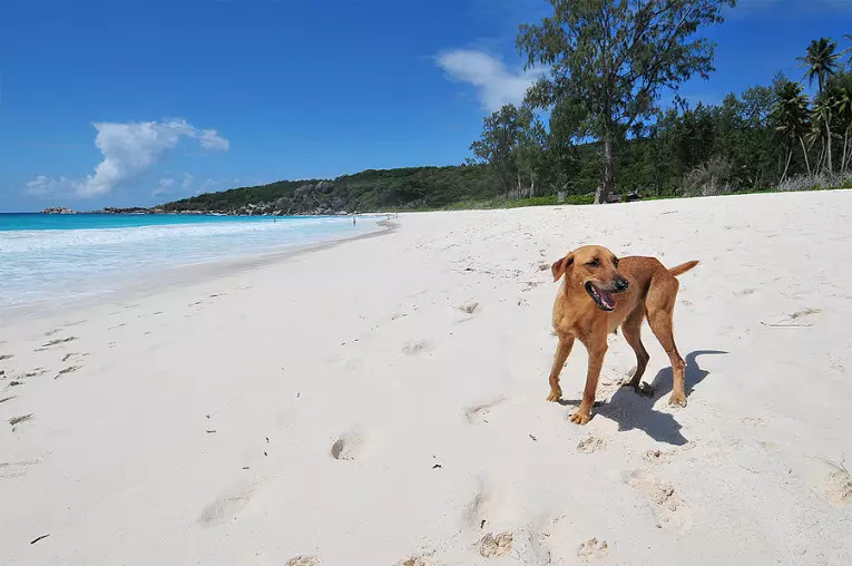 La Dig Island, Seychelles, Afrika