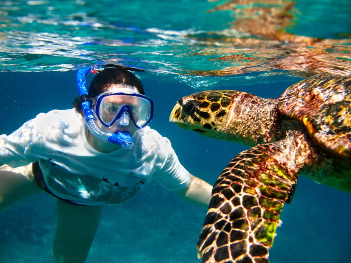 Çimərlik Côte d'Or, Praslin Island, Seyşel adaları, Afrika