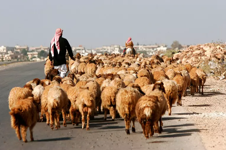 Siria, Orientul Mijlociu