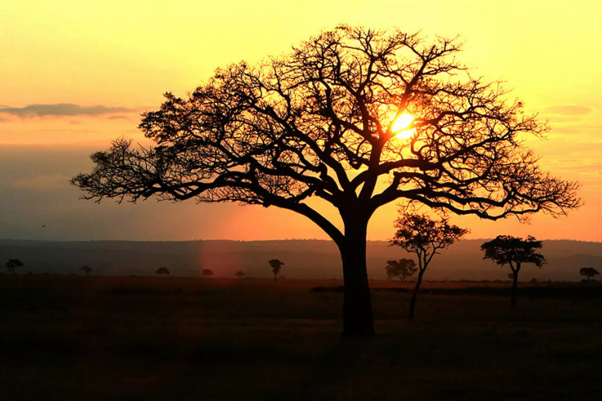 Tanzanië, Afrika