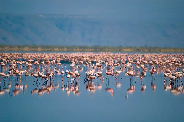 Tanzanië, Afrika