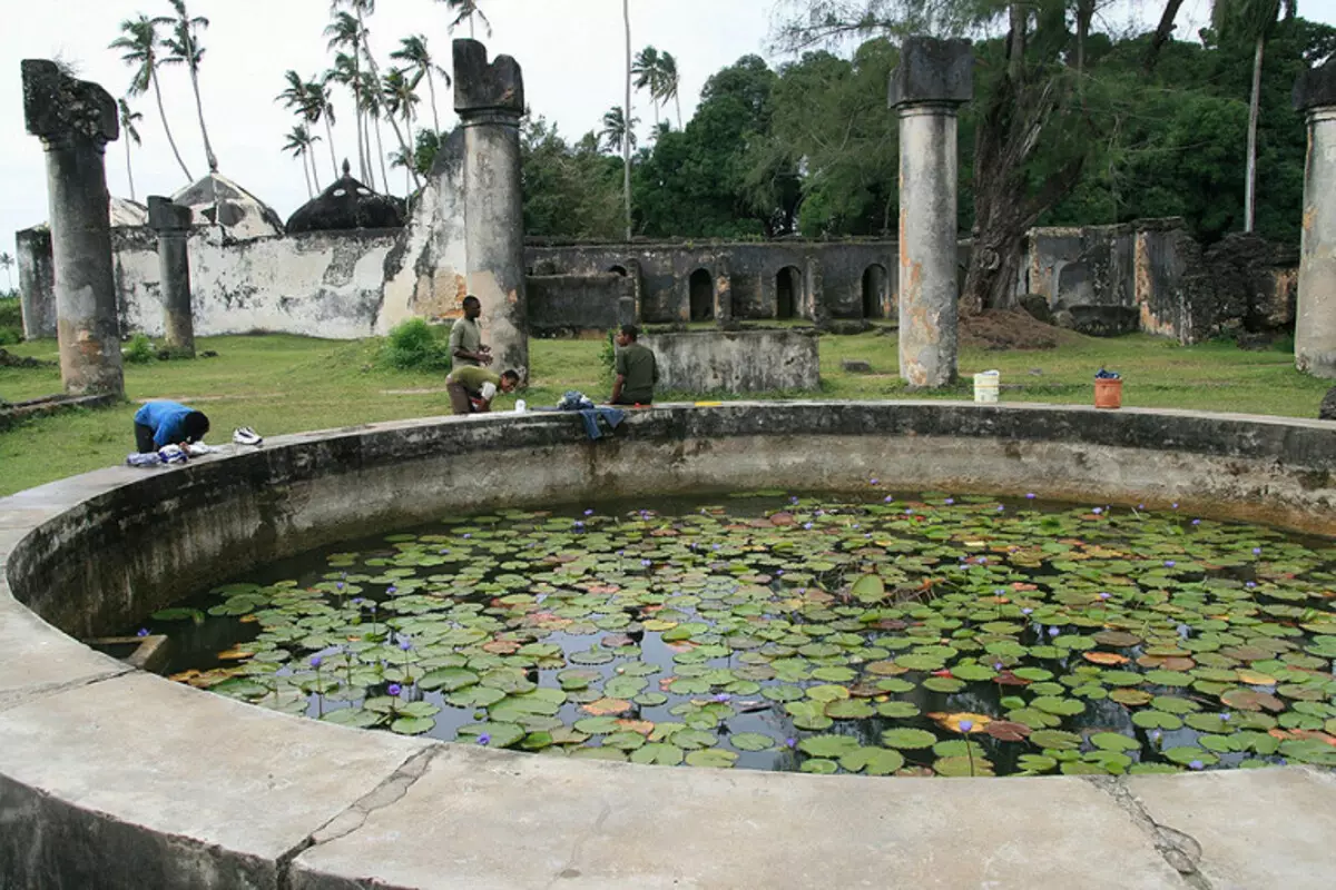 Tanzanië, Afrika