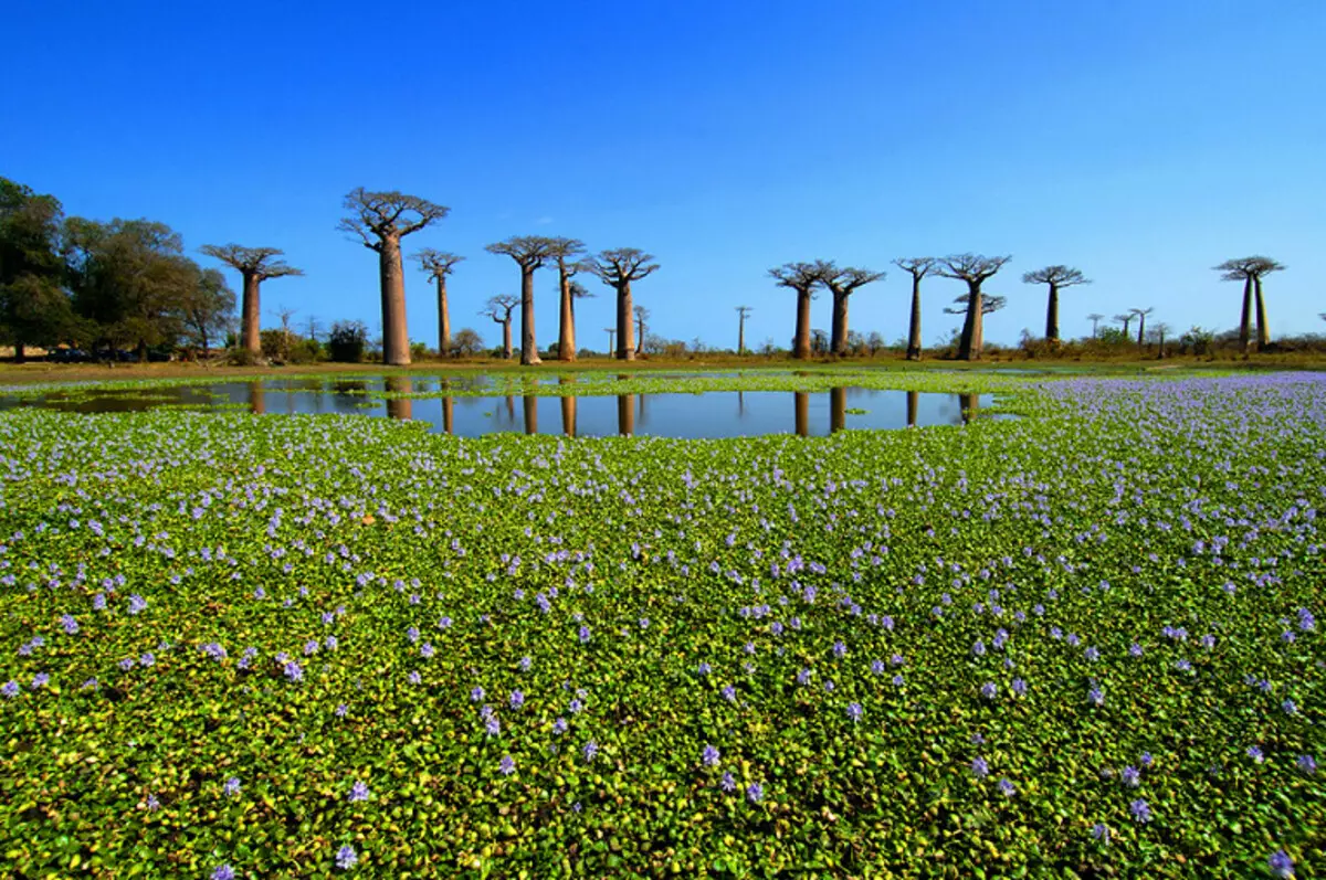 Madagaskar, Afrika