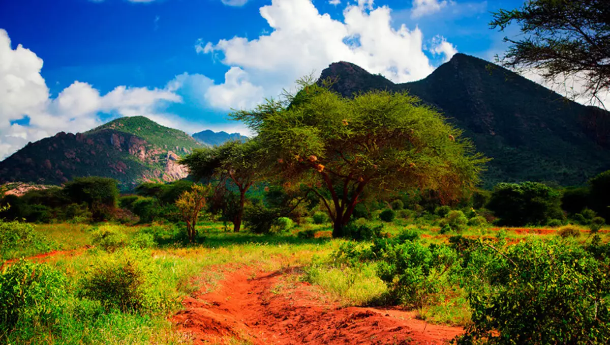 Þjóðgarðurinn West Tsavo, Mombasa, Kenýa, Afríka