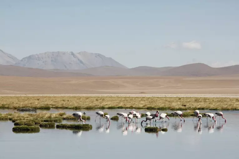 IBolivia, uMzantsi Melika