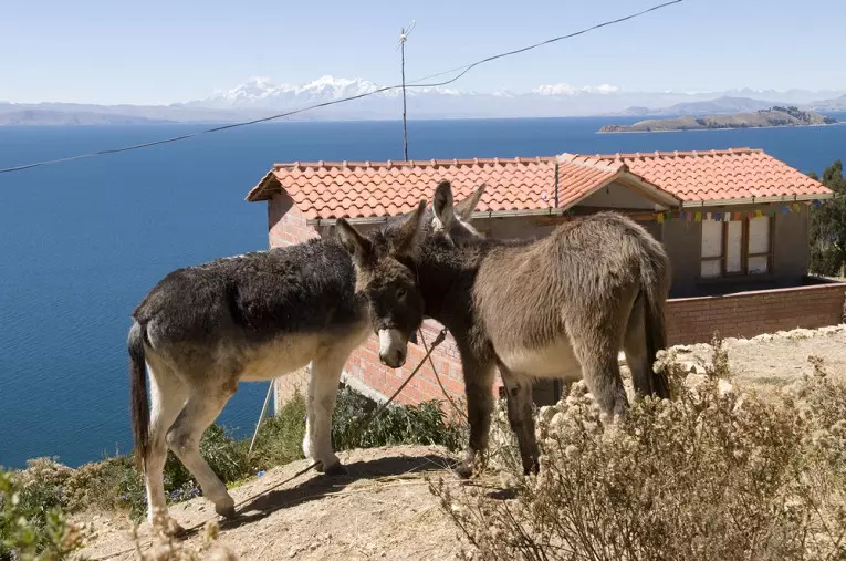 IBolivia, uMzantsi Melika