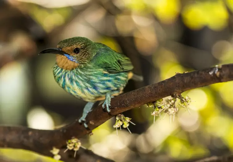 Bolivia, South America