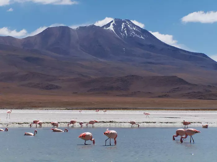 Eduardo Avaro National Park, Bolivia, South America