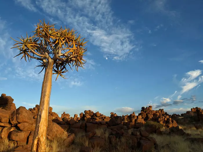 Giant Playground, Namibia, Africa.