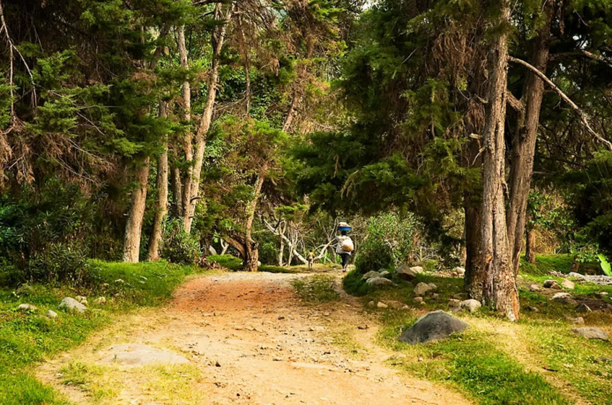 Ուգանդա, Աֆրիկա