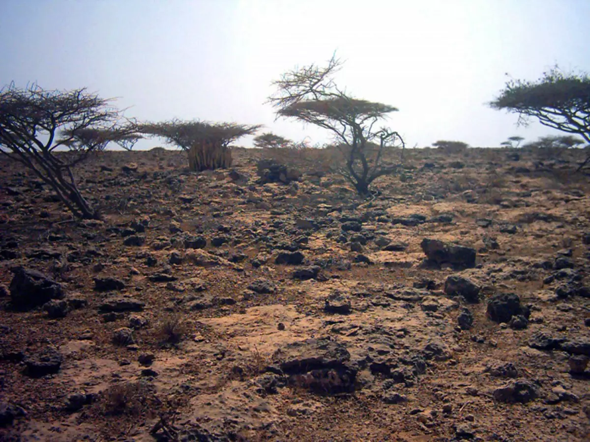 Eritrea, Affrica