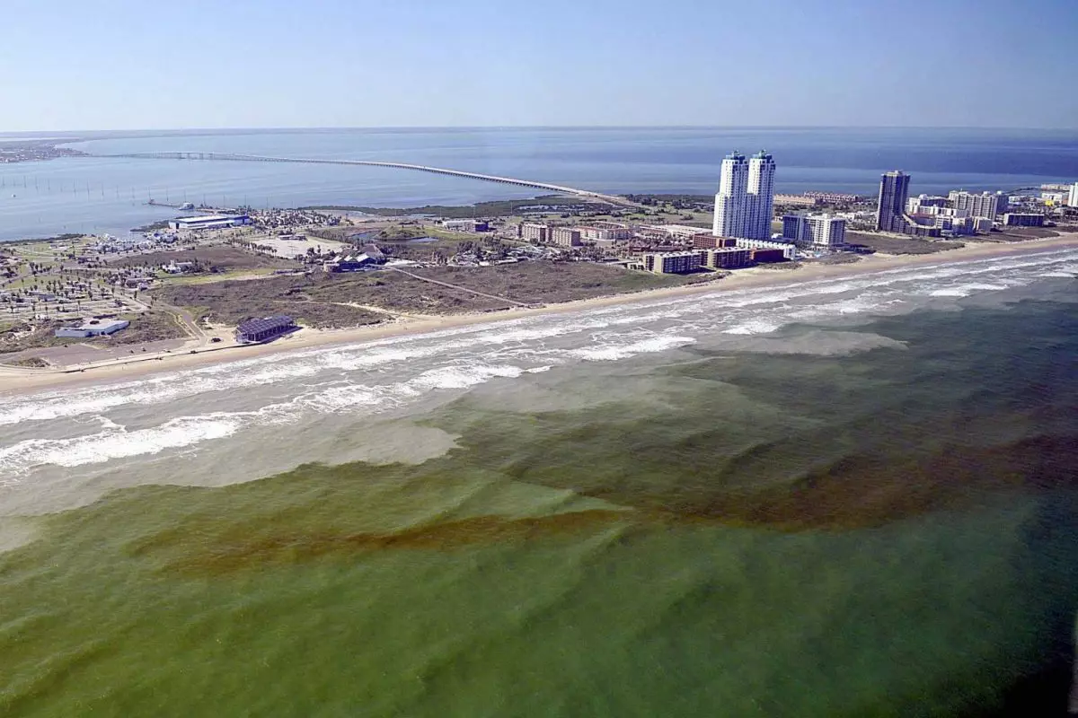 Ke eng e khubelu e le kotsi ho Florida Bay