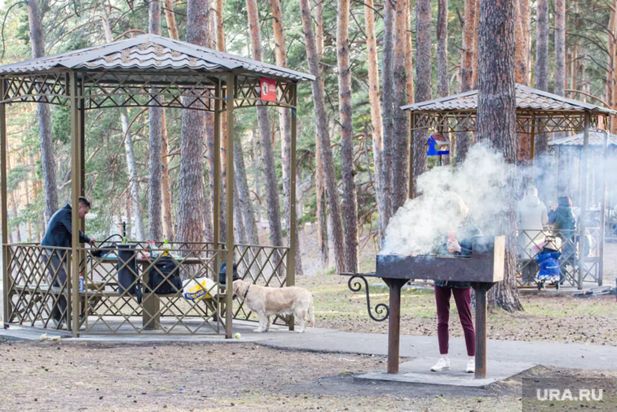 Tyumeni se lahko sprostijo v gozdovih, kljub načinu za nujne primere. Zemljevid lokacij