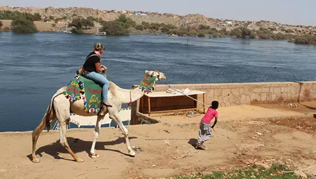 מצרים קערט. וואָס איז געפֿינט צו די רוסישע רייַזע אָפּערייטערז