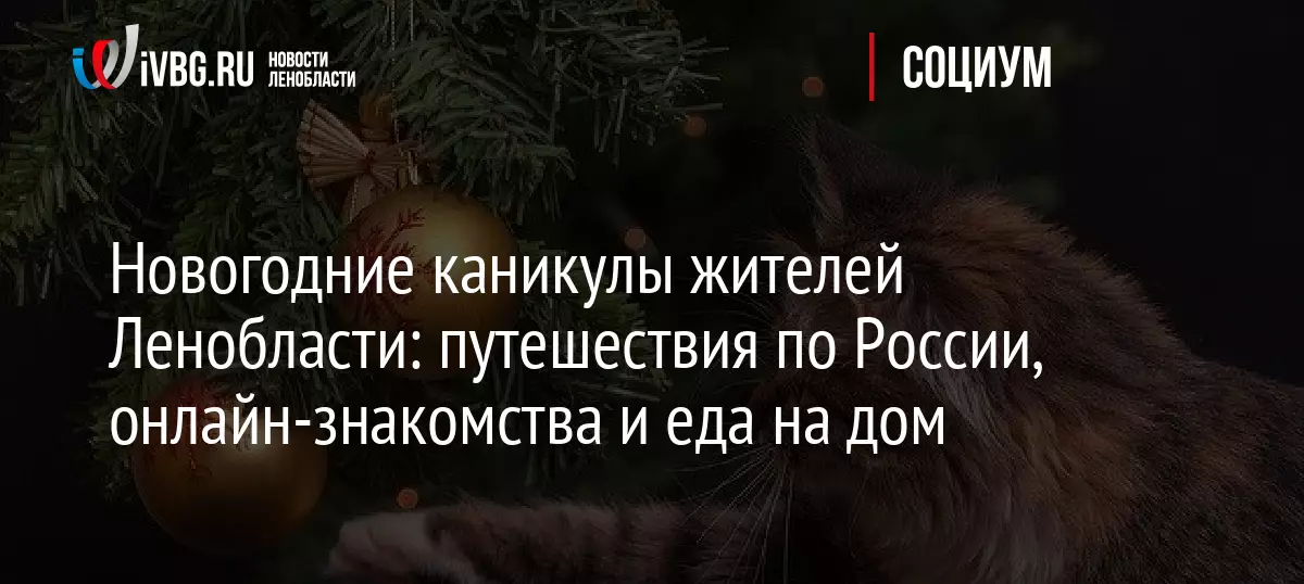 Новогодишни празници в жителите на Ленинградския регион: Пътуване около Русия, онлайн запознанства и храна в къщата