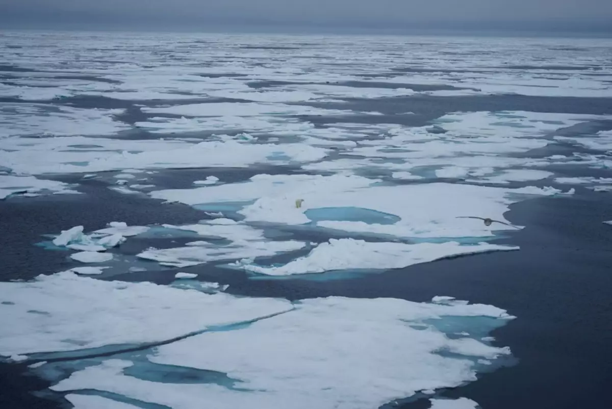 Ο Fedor Konyukhov είναι έτοιμος να καθαρίσει το βόρειο πόλο από το πλαστικό