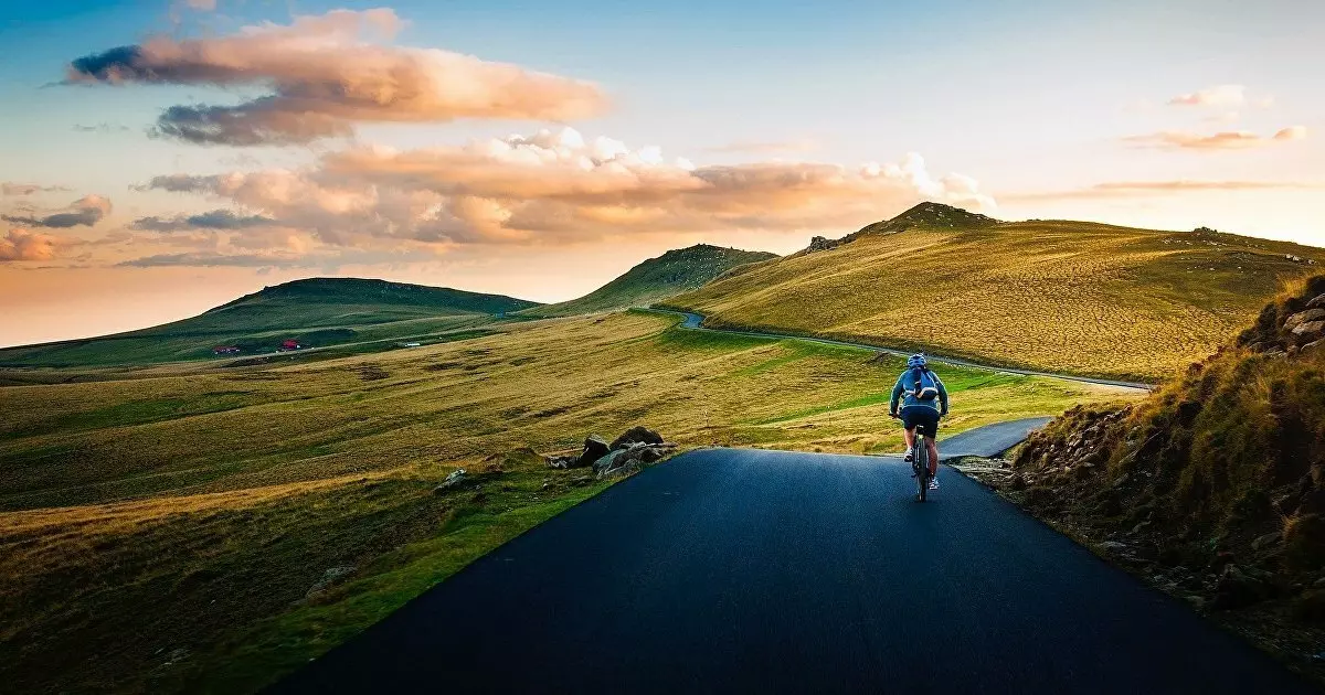 The Telegraph (United Kingdom): How a homeless cat has won the heart of a muscular Scottish cyclist and became a star of social networks