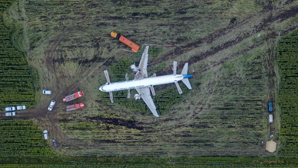 Drona, fåglar, turbulens: sant och myter om farorna med flygbolagen