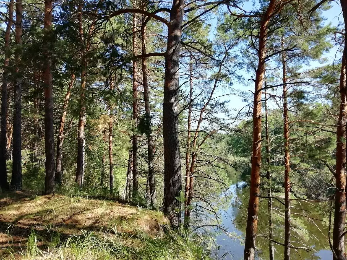 Бардык аралашма бузулуу. Омск облусунун түндүгүндө бир сапардын хроникасы