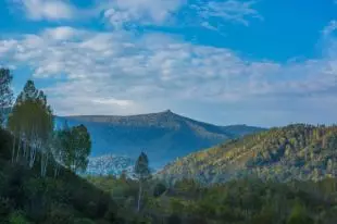 La película sobre la reserva de Tiigin se verá en la Duma estatal.