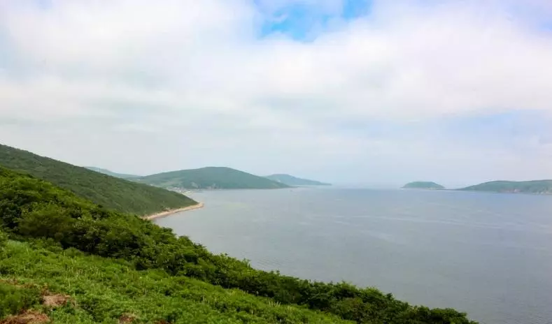 Vladivostok의 도시 행정부는 Popov 섬의 인프라 개발에 적극적으로 참여하고 있습니다.