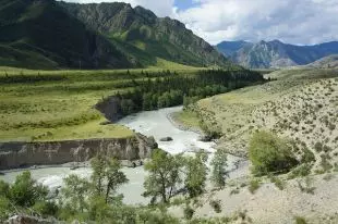 Brand ba zai ciyar ba. Me ke hana ci gaban da Altai?