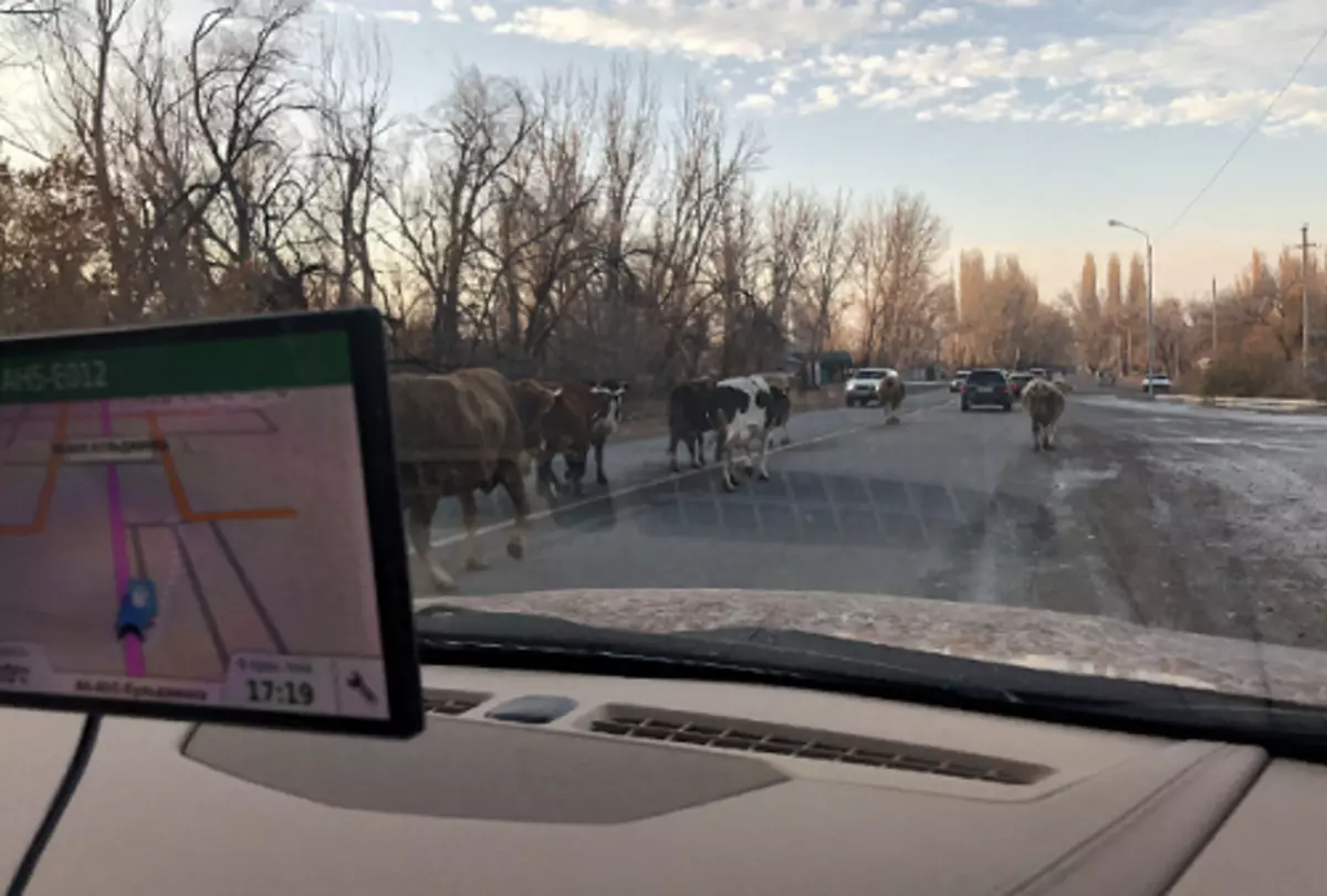 Shkëmbinj, bllokime të trafikut dhe Samsa: pse rusët shkojnë në Almaty 248853_3