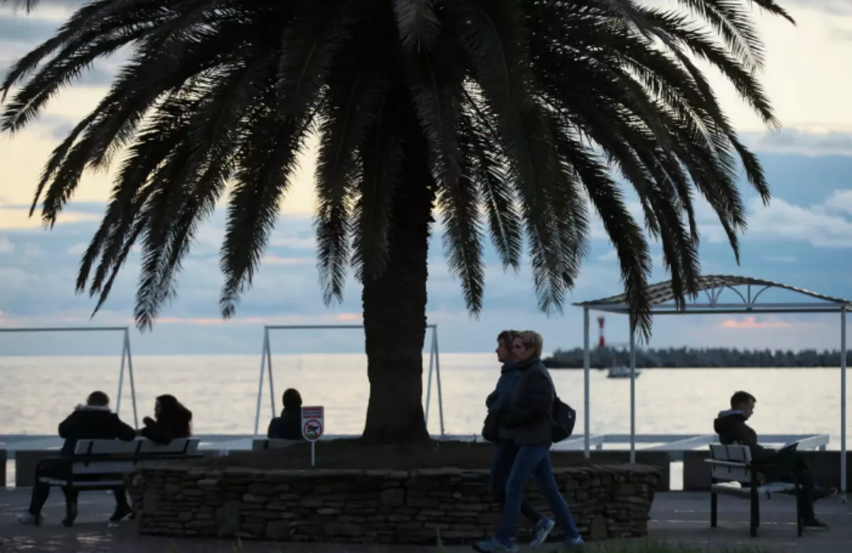 Hotel Stometro su un'isola di massa a Sochi: perché gli esperti dubitano dell'attuazione di questo piano?