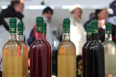 Wine Tourism Revive in Stavropol.