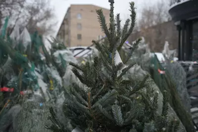 Božični trgi v predmestjih se bodo odprli 20. decembra na 250 lokacijah