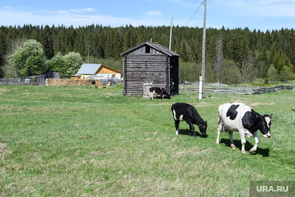 RF Power tilbyder russere at slappe af i landsbyer i stedet for udlandet