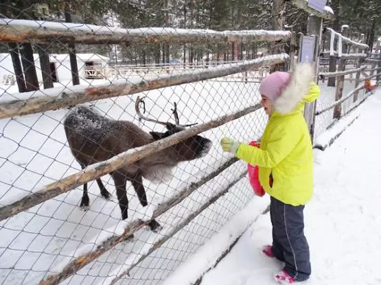 Den første kongressen for representanter for turistindustrien i Yamal ble holdt i SaleKhard