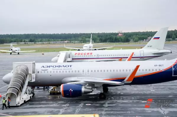 Dyr er ikke lik bagasjen ... i Russland kan forplikte flyselskapet forsiktig med å transportere kjæledyr