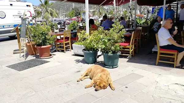 Muri Turukiya Bodrum yashyize ahagaragara itegeko acecetse