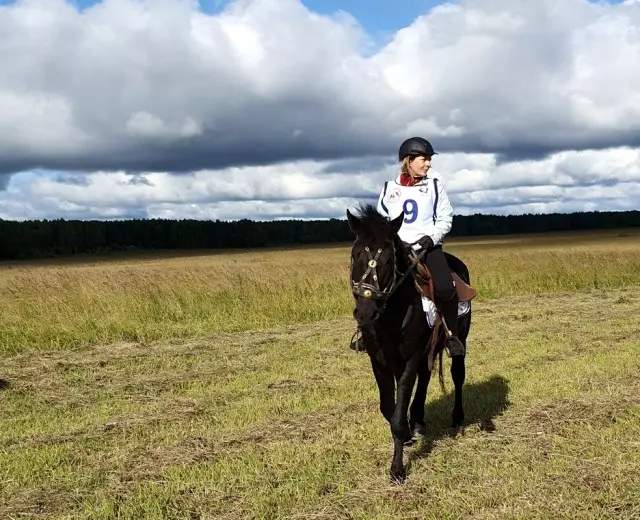 Wapi kufanya utalii wa equestrian (na utamaduni!)?